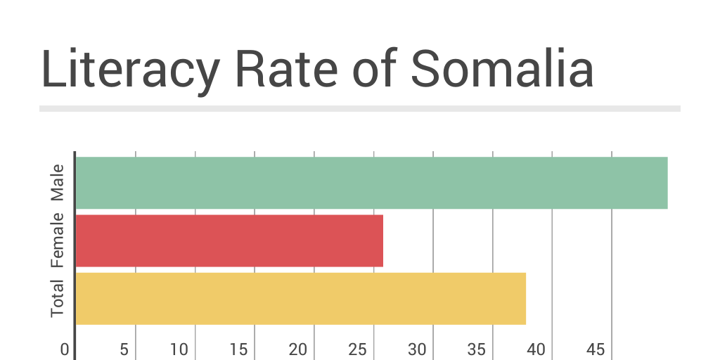Somalia Education Statistics | Inspirational Education