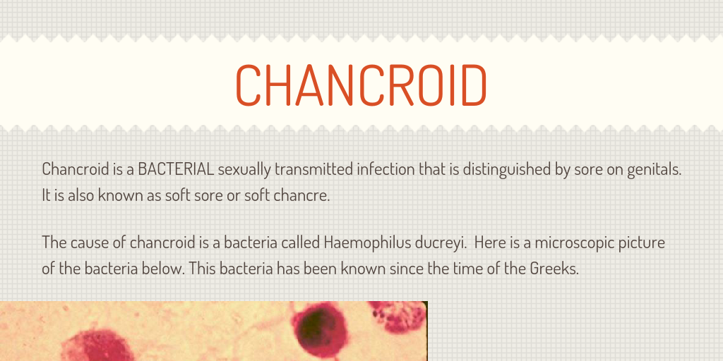 Chancroid by gohomeyrdrunk - Infogram
